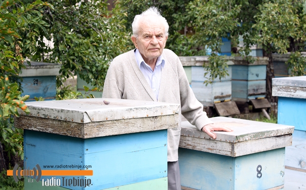 Фељтон – пчеларске породице (1): КАД НЕМА ДАЈ – КАД ИМА ВАДИ! | Радио ...